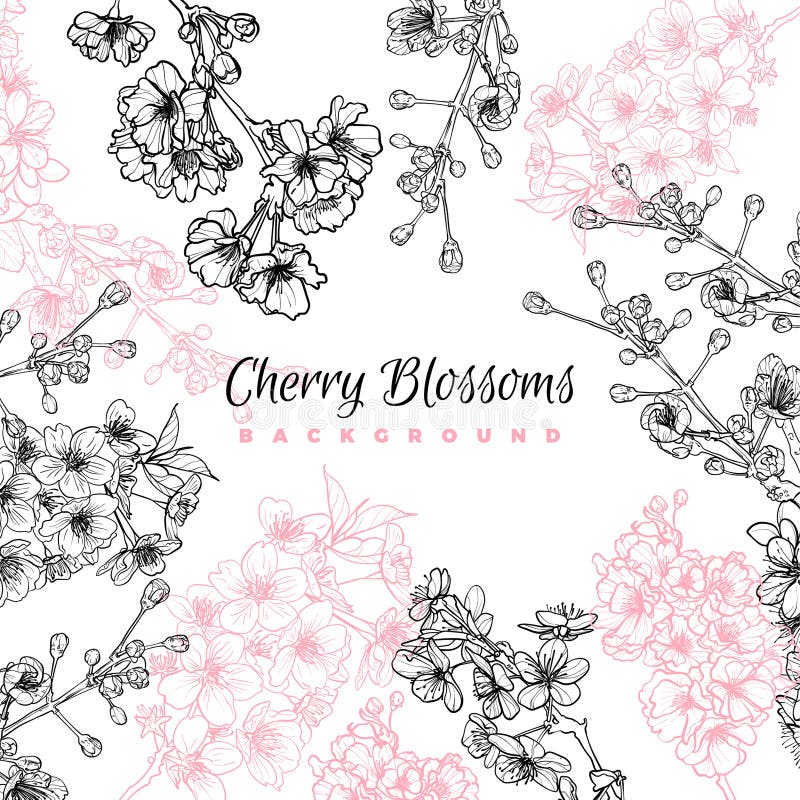 Cherry Blossom Drawing Easy Stock Photos - Free & Royalty-Free Stock ...