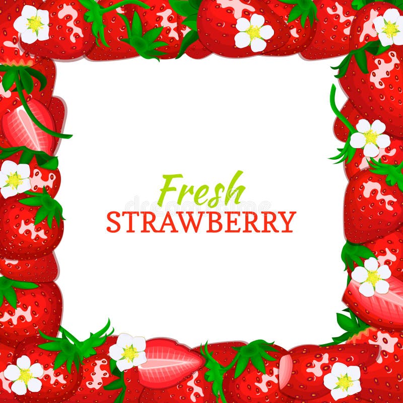 Square Colored Frame Composed of Delicious Strawberry Fruit. Vector ...
