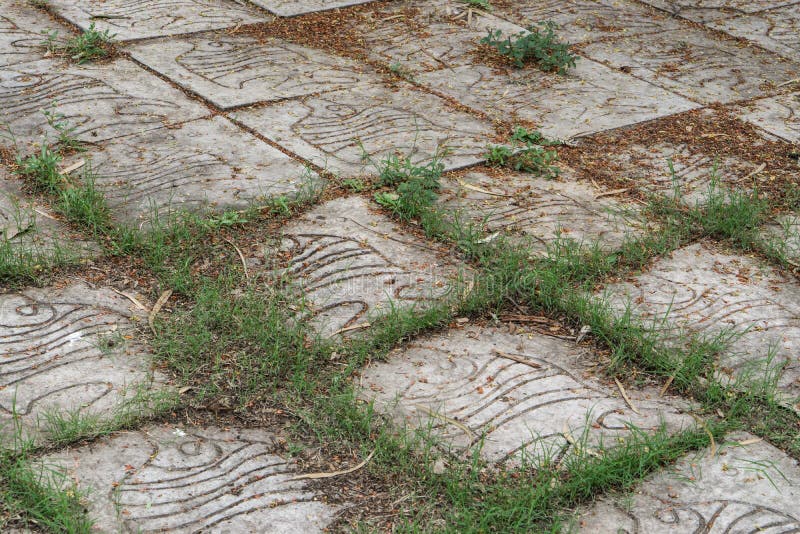 Square Concrete Grass Pattern Background Texture Stock Image - Image of ...