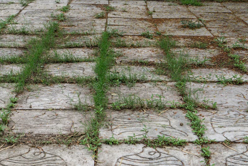 Square Concrete Grass Pattern Background Texture Stock Photo - Image of ...
