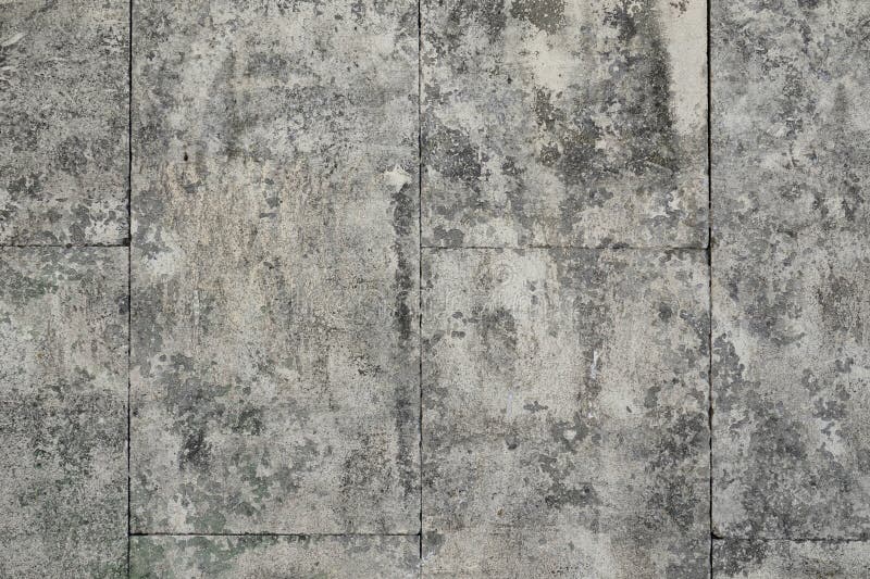 Wet Square Concrete Tiles with Grass between it, Texture of Wet Paver ...