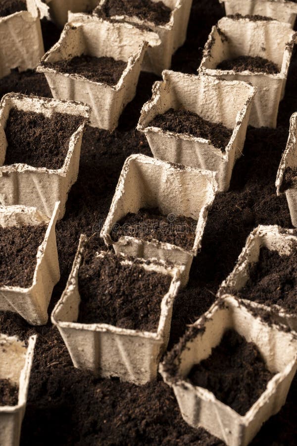 Square Containers for Seedlings in Agriculture Stock Image - Image of ...