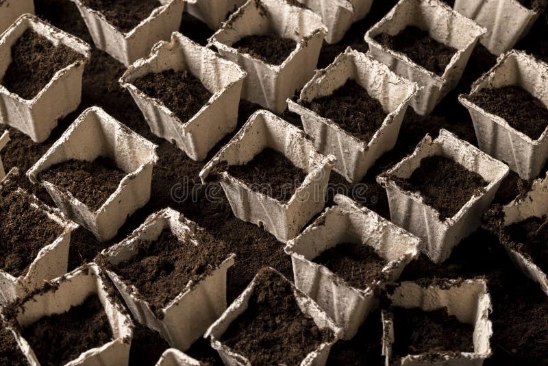 Square Containers for Seedlings in Agriculture Stock Image - Image of ...