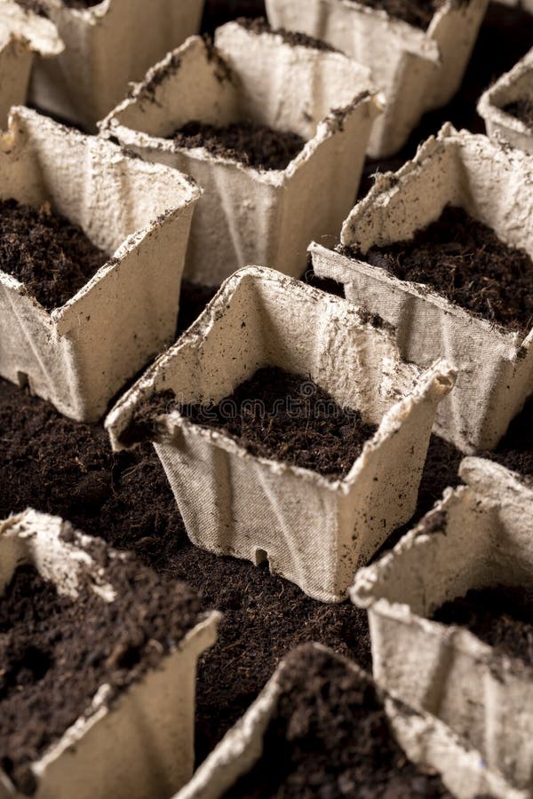 Square Containers for Seedlings in Agriculture Stock Image - Image of ...