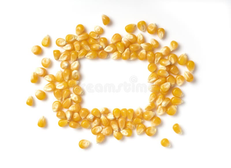 Dried Corn Kernels and Wooden Spoon Placed on White Background Stock ...