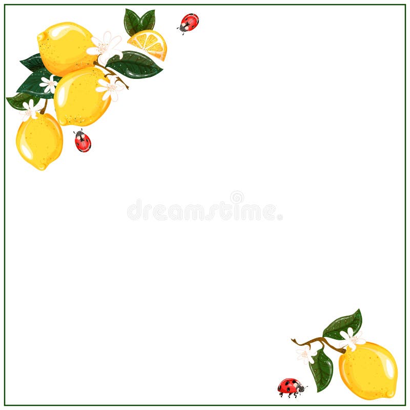 Square Corner Frame with Citrus Lemon Flower and Ladybugs. White ...