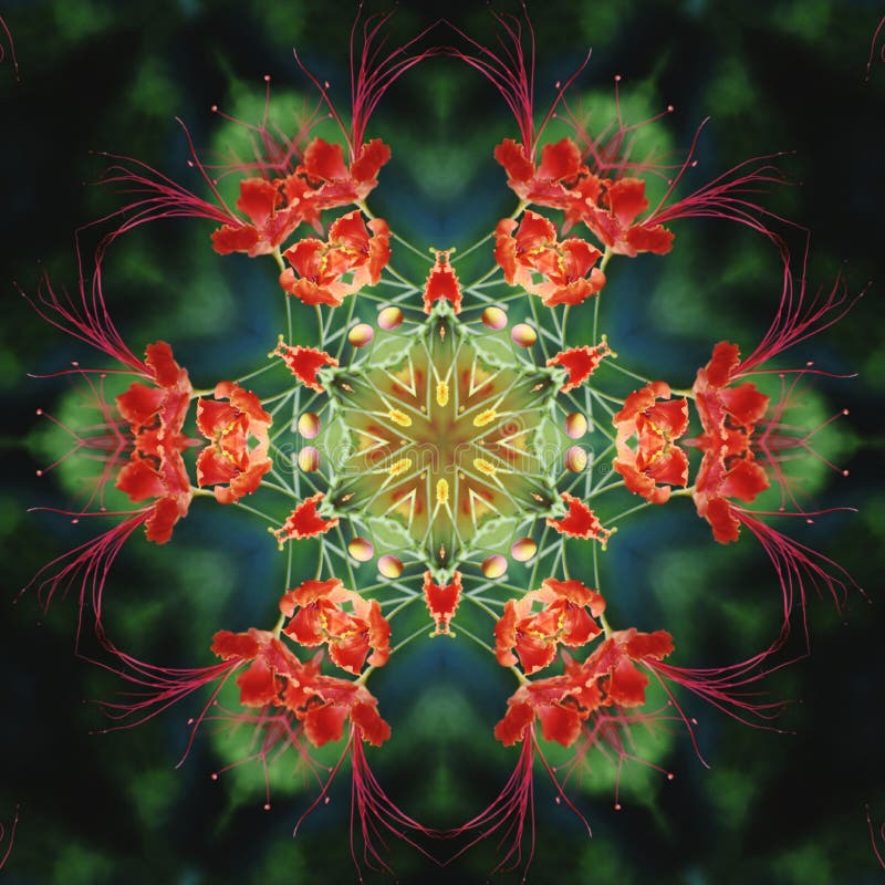 A Square Design with Flower for Tiles Stock Illustration - Illustration ...