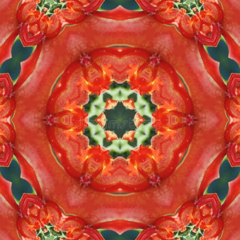 A Square Design with Flower for Tiles Stock Illustration - Illustration ...