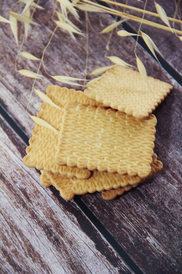 Square Dry Sweet Cookies with Decorative a Ornaments Stock Image ...