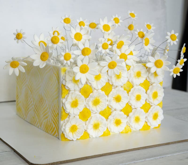Square Fondant Cake with Daisies Stock Photo - Image of sweet, groom ...