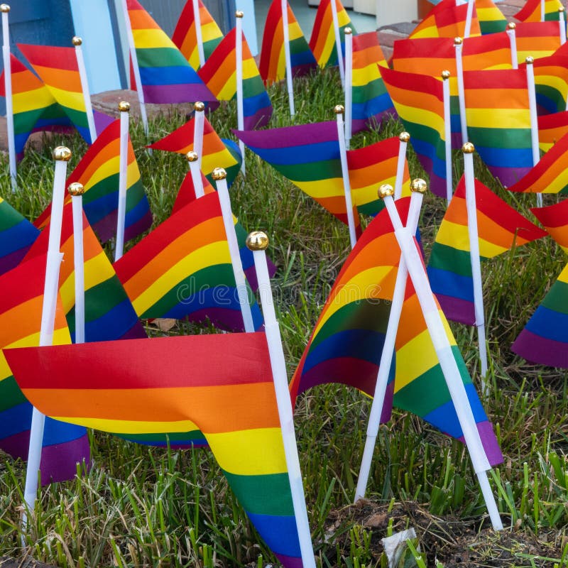 Square Format Group of Small Rainbow Pride Flags Stock Image - Image of ...