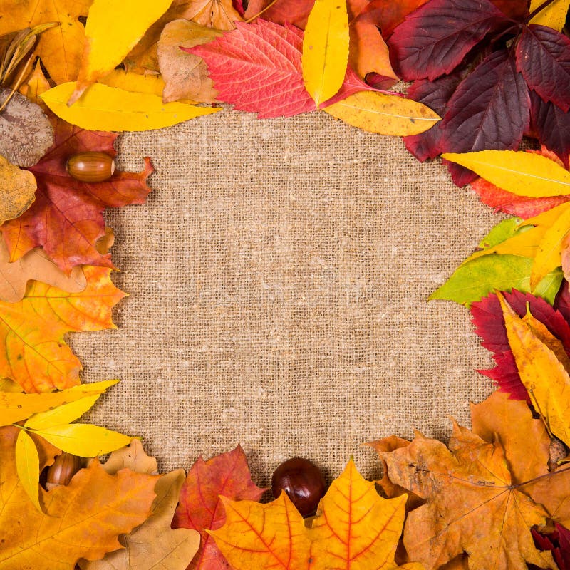 Square Frame in Autumn Style Stock Image - Image of foliage, year: 33677133