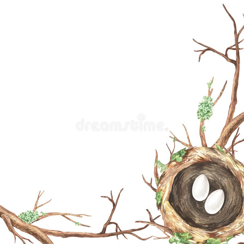 Square Frame of Brown Branches and a Nest with Two Eggs. Watercolor ...