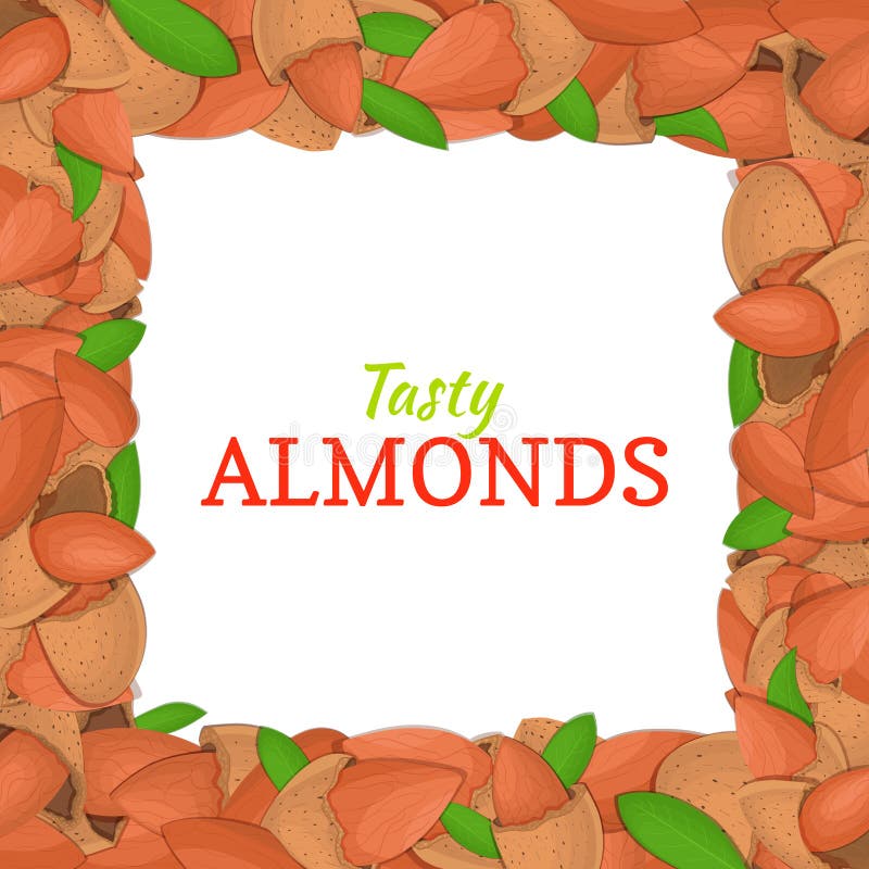 Square Frame Composed of Delicious Almond Nut. Vector Card Illustration ...