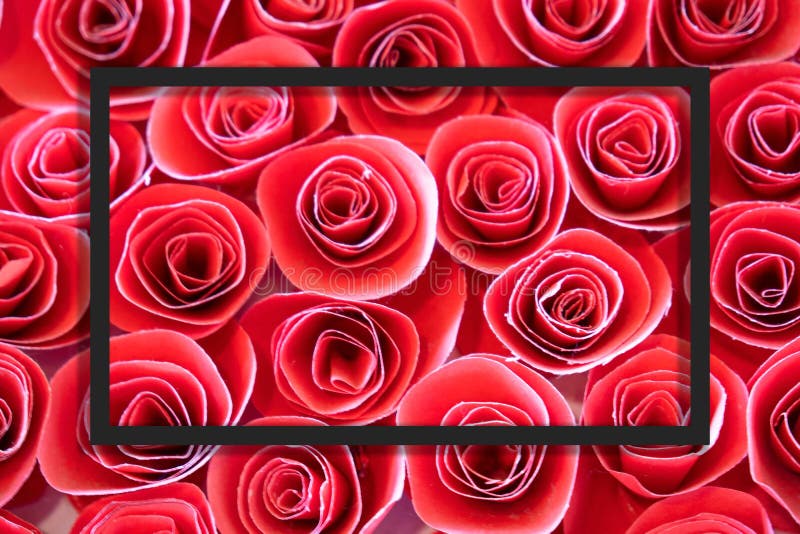 Square Frame, Creative Layout Made Beautiful Bloom Paper Red Rose ...
