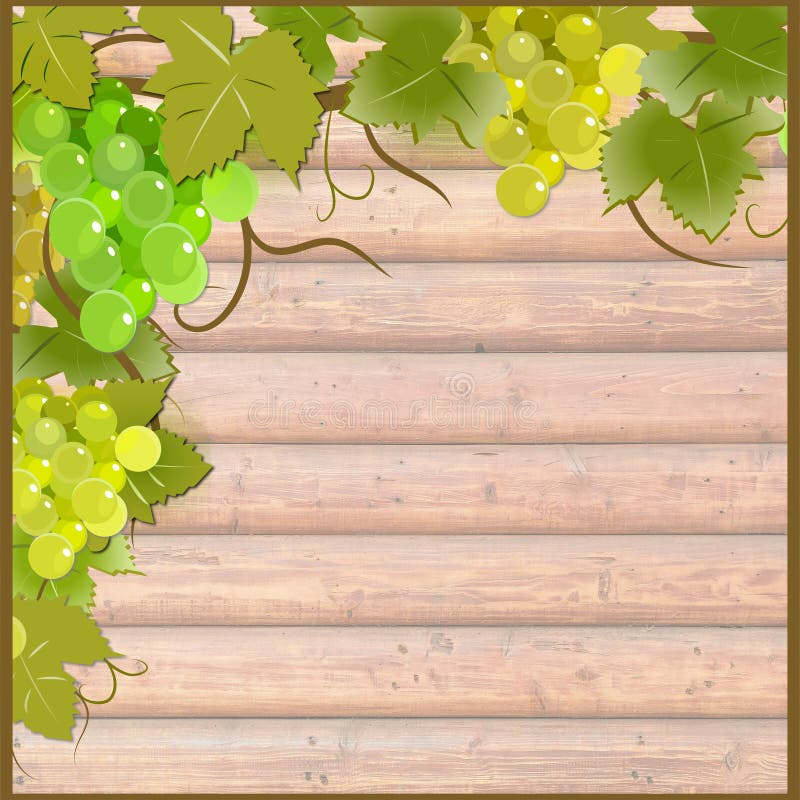 Square Frame Decorated with a Beautiful Vine with Grapes on a Wood ...