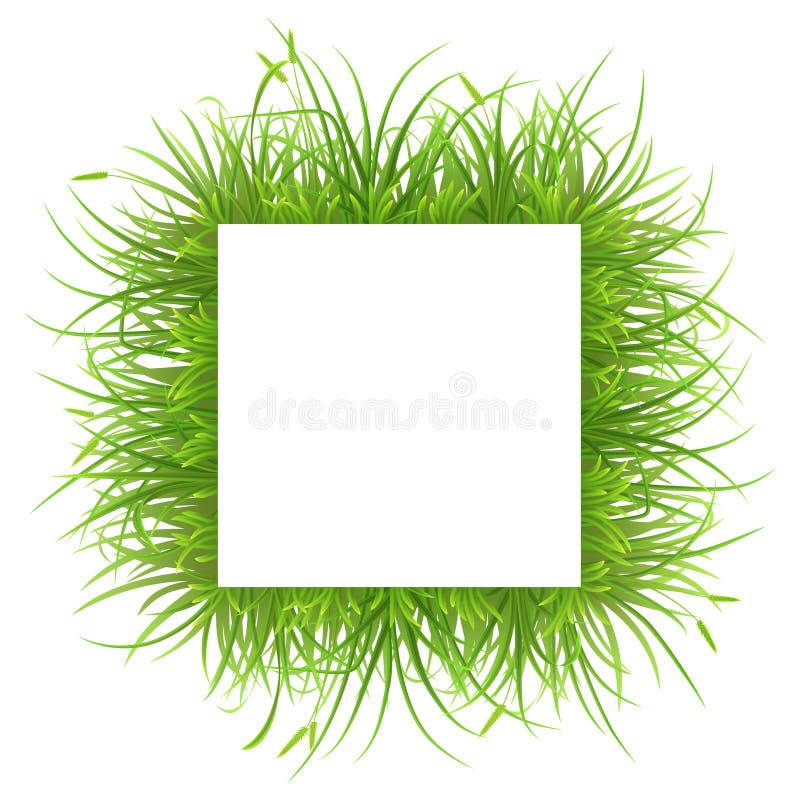 Square frame with grass stock vector. Illustration of meadow - 55895317