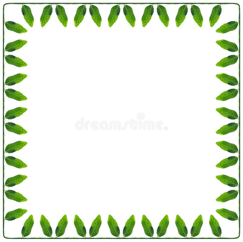 Green Peas Border Stock Illustrations – 255 Green Peas Border Stock ...