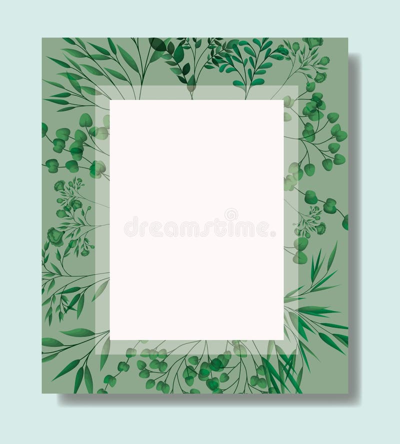 Square Frame with Laurel Leafs Stock Vector - Illustration of luxury ...