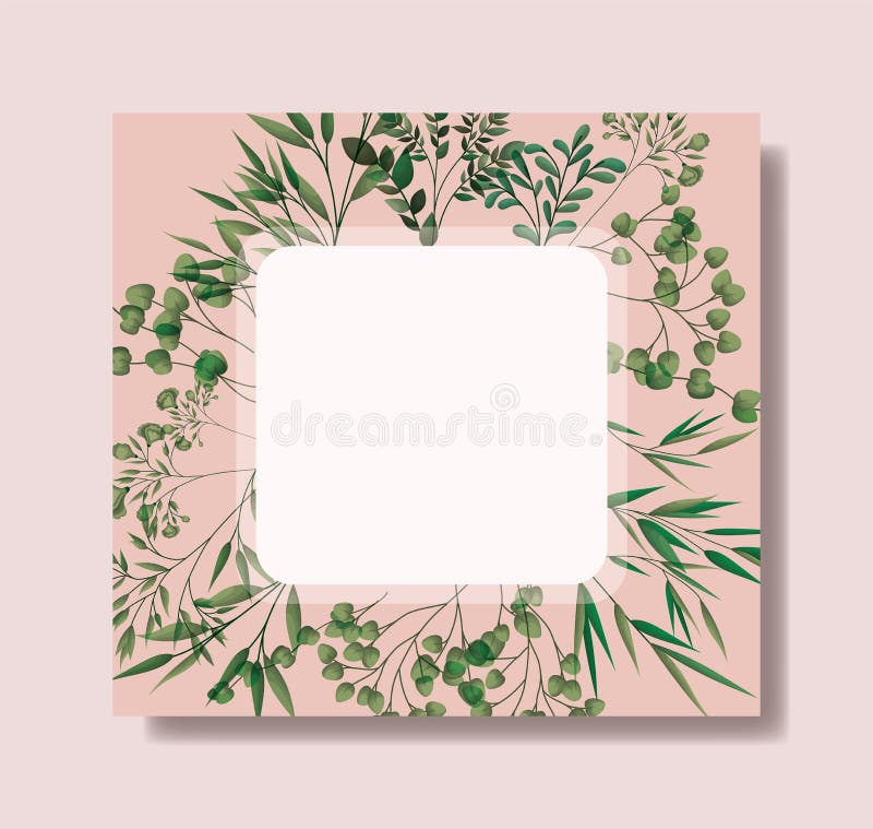 Square Frame with Laurel Leafs Stock Vector - Illustration of botanical ...