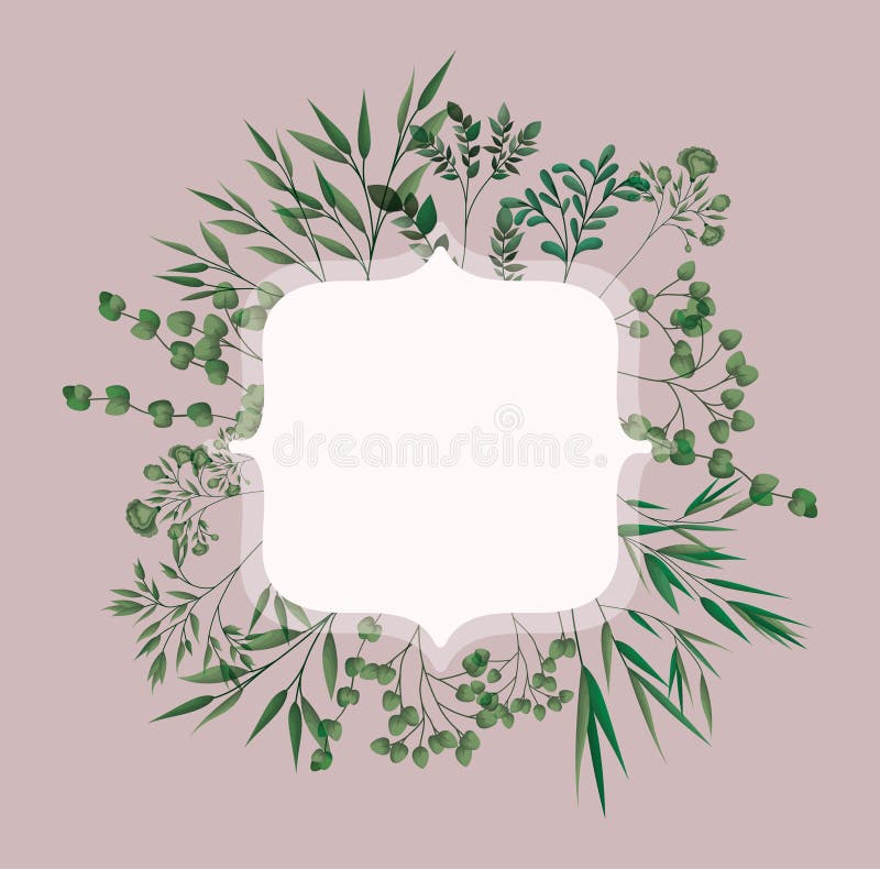 Square Frame with Laurel Leafs Stock Vector - Illustration of design ...