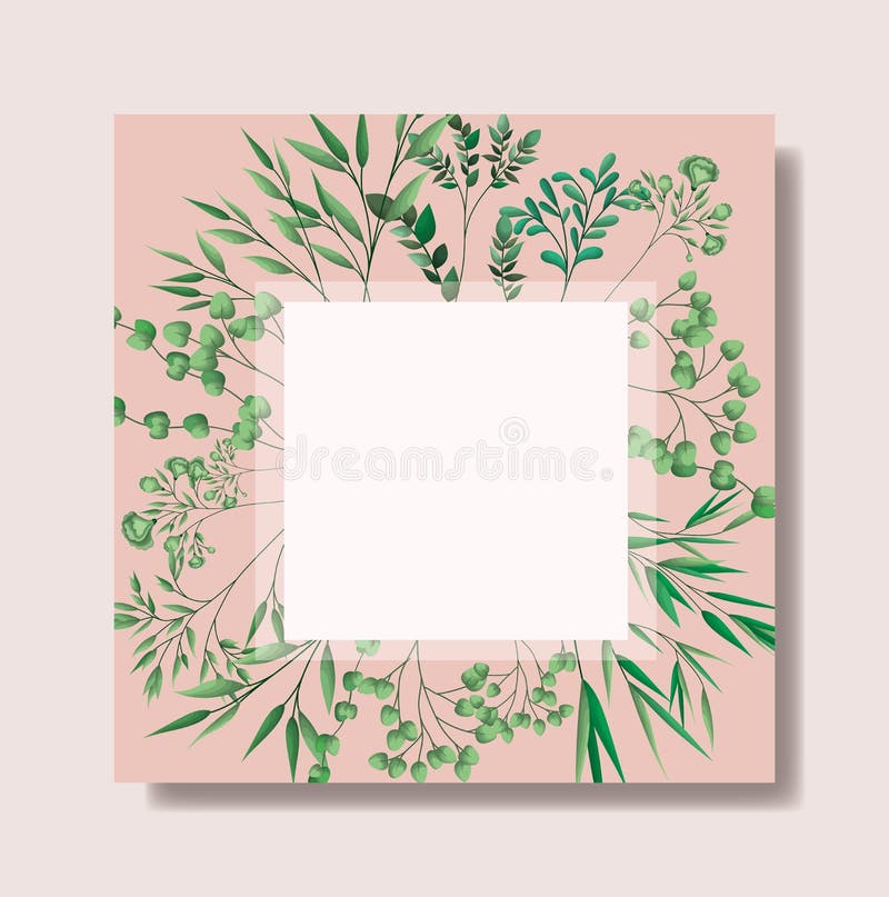 Square Frame with Laurel Leafs Stock Vector - Illustration of ornate ...