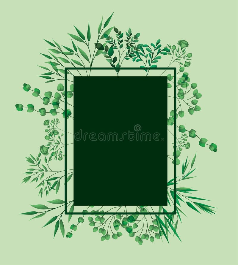 Square Frame with Laurel Leafs Stock Vector - Illustration of ...