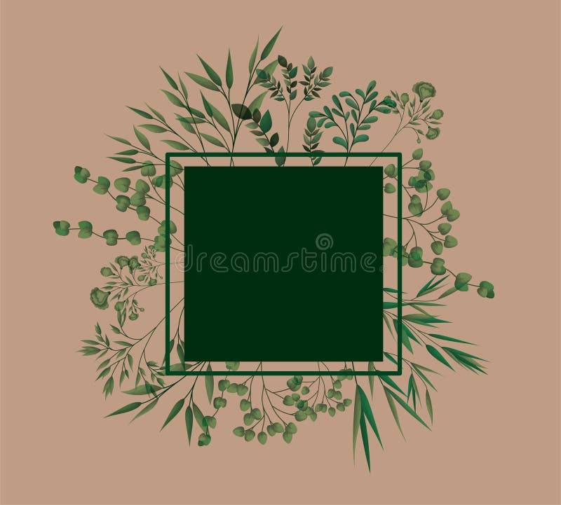 Square Frame with Laurel Leafs Stock Vector - Illustration of graphic ...