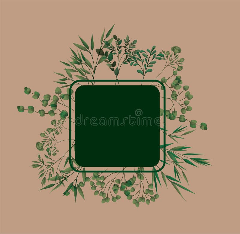 Square Frame with Laurel Leafs Stock Vector - Illustration of olive ...