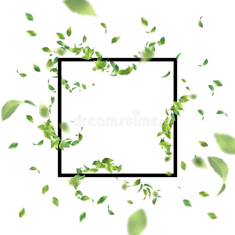 Square Frame with Leaves stock illustration. Illustration of frame ...