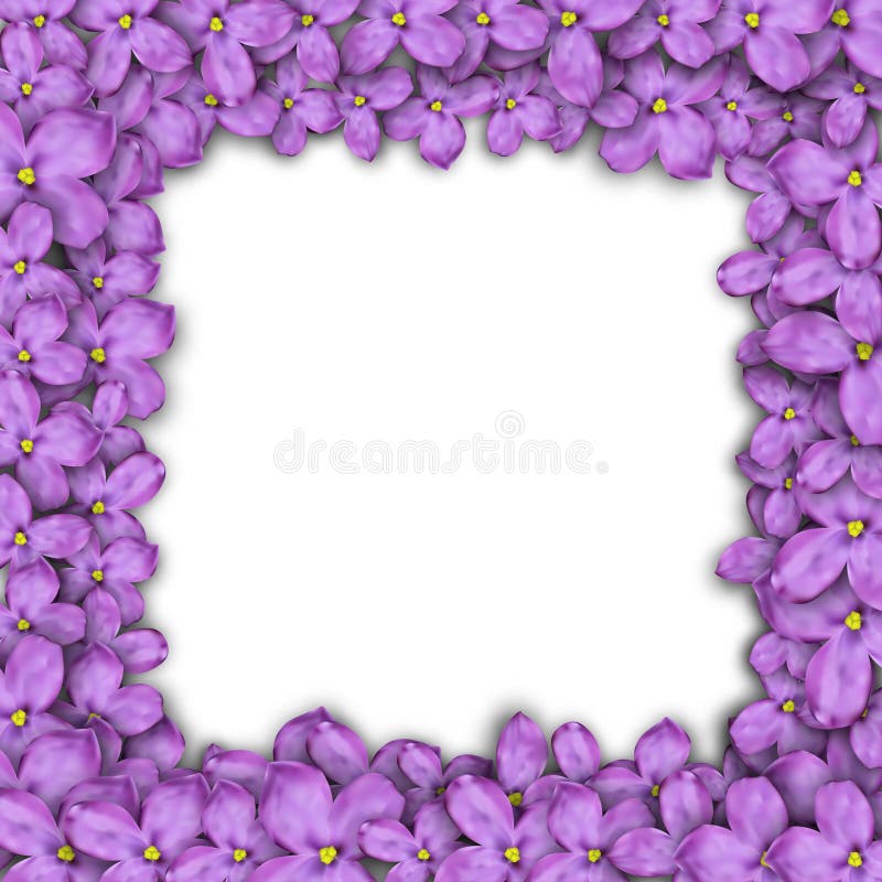 Square Frame of Lilac Flowers. Purple Flowers.Vector Illustration Stock ...