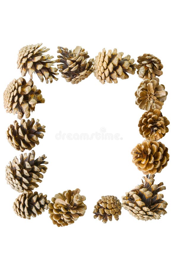 Square Frame Made of Pine Cones, Isolated on White Background Stock ...