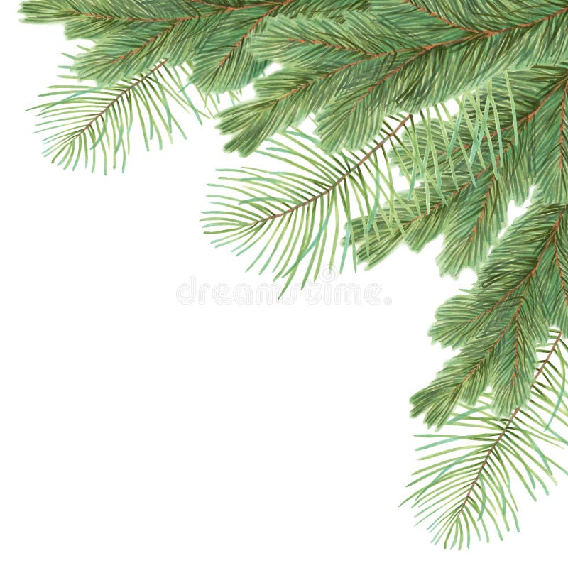 Square Frame Made of Pine and Spruce Branches. Illustration with ...
