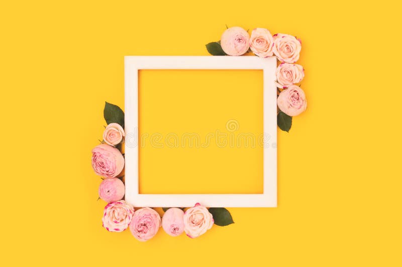 Square Frame Made of Pink Rose Flowers on a Yellow Background. Stock ...