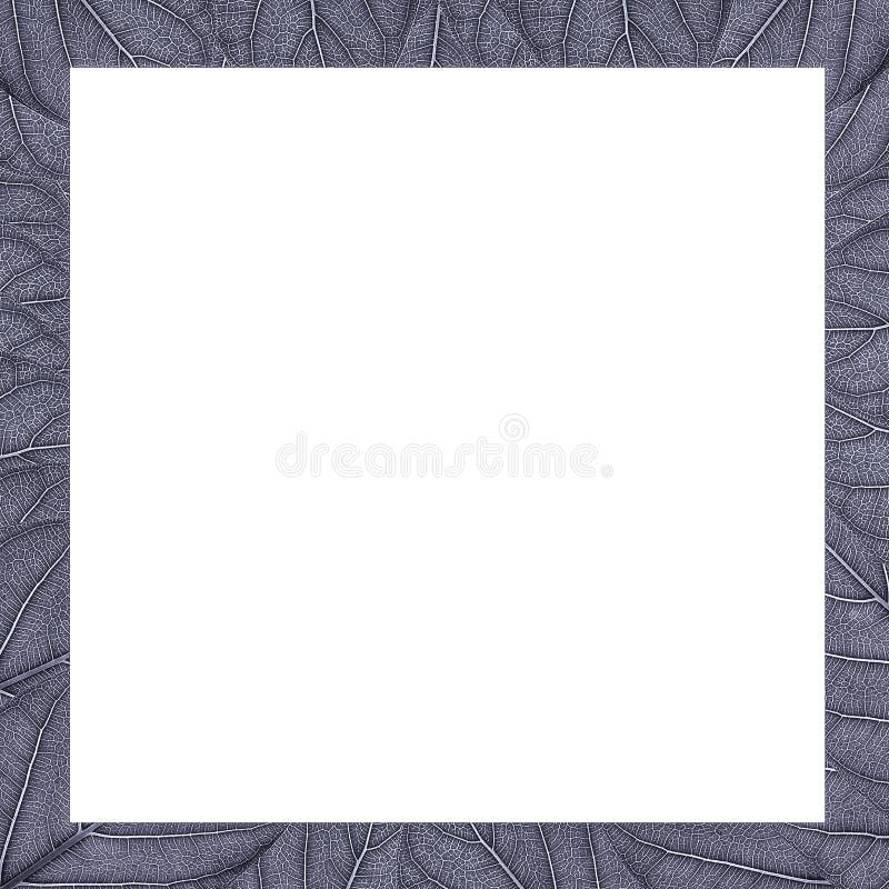Square Frame of Metal Texture Leaves Stock Illustration - Illustration ...