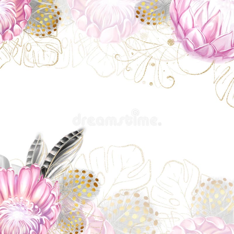 Square Frame, Pattern of Pink Protea Tropical Flowers. Exotic, Luxury ...