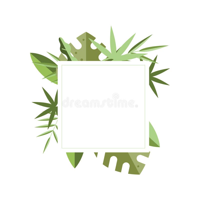 Square Frame with Place for Text and Green Tropical Leaves on ...
