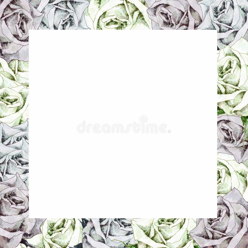 Square Frame of Rose Flowers. Watercolor Stock Illustration ...