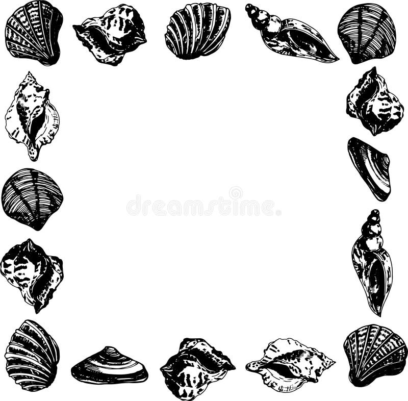 Square Frame with Shells Graphics Line Art. Marine Frame with Shells ...