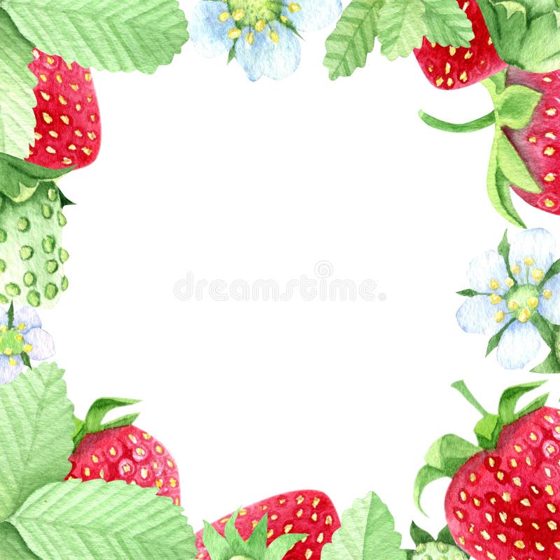 Square Frame of Summer Berries. Stock Illustration - Illustration of ...