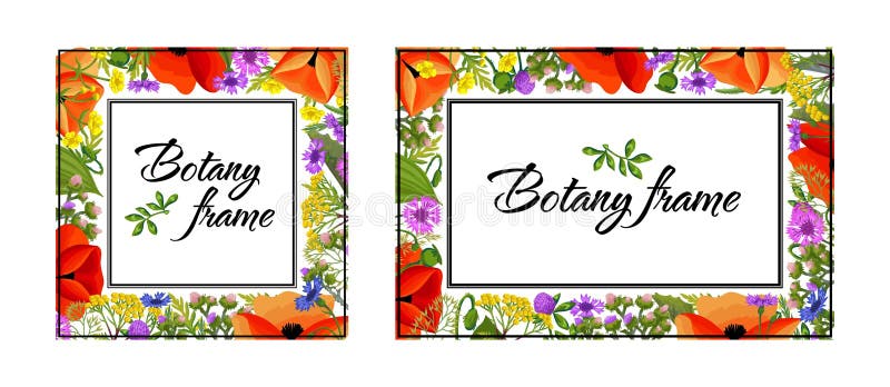 Square Frame Template with Wild Flowers. Botany Illustration Stock ...