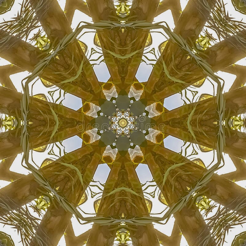 Square Frame Wild Angular Shapes of a Flower Arrangement Showing only ...