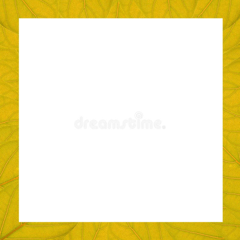 Square Frame of Yellow Texture Leaves with Stock Photo - Image of green ...