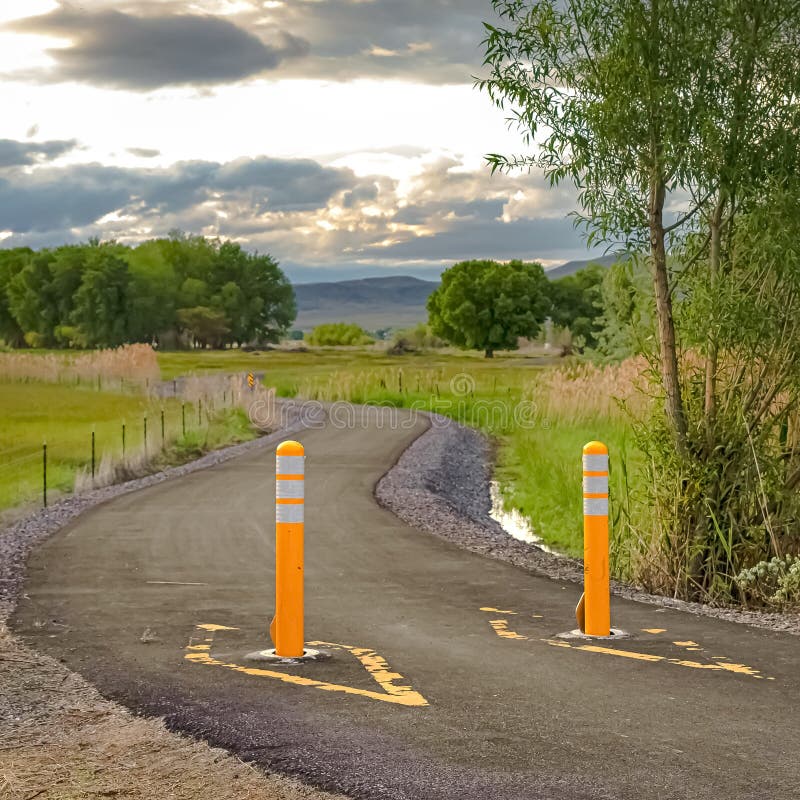 Yellow Traffic Delineator Posts on a Road with View of Trees and ...