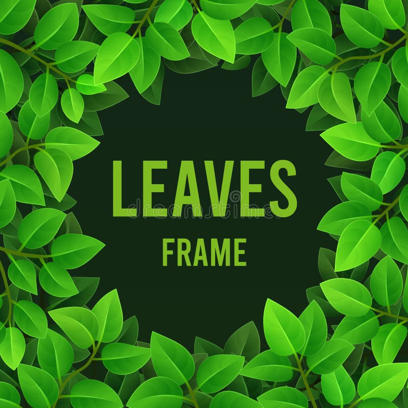 Square Frame of Young Green Leaves with an Oval Opening and Depth on a ...