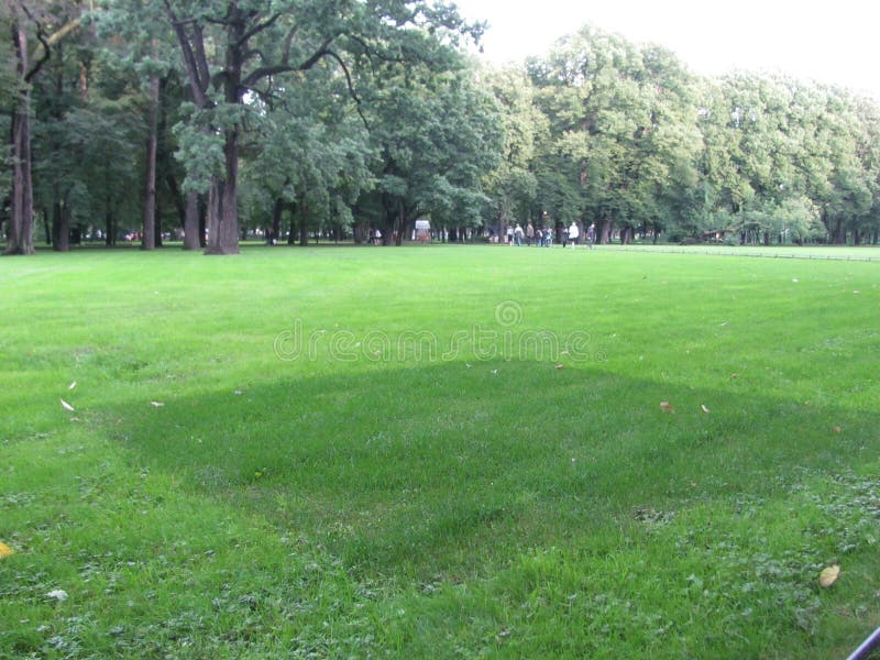 Square Fresh Grass on the Ground Stock Image - Image of repeat, garden ...