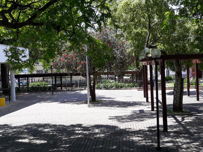 A beautiful square stock photo. Image of flowers, inside - 129589094