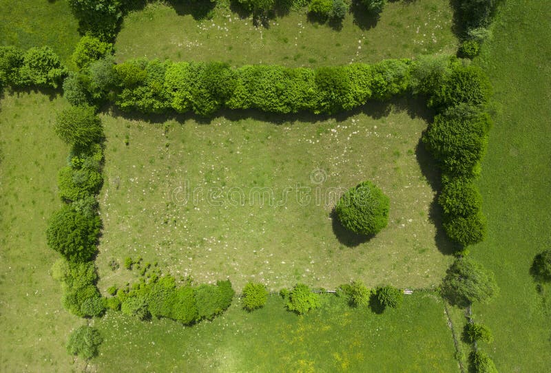Square Garden with Green Trees Stock Image - Image of ground, plant ...