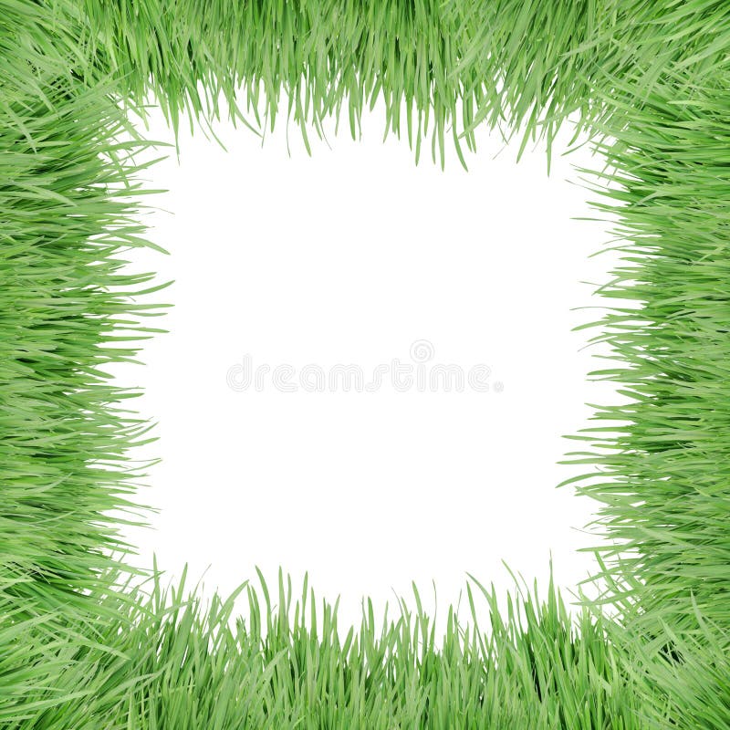 Grass Frame stock image. Image of isolated, plant, closeup - 19851843