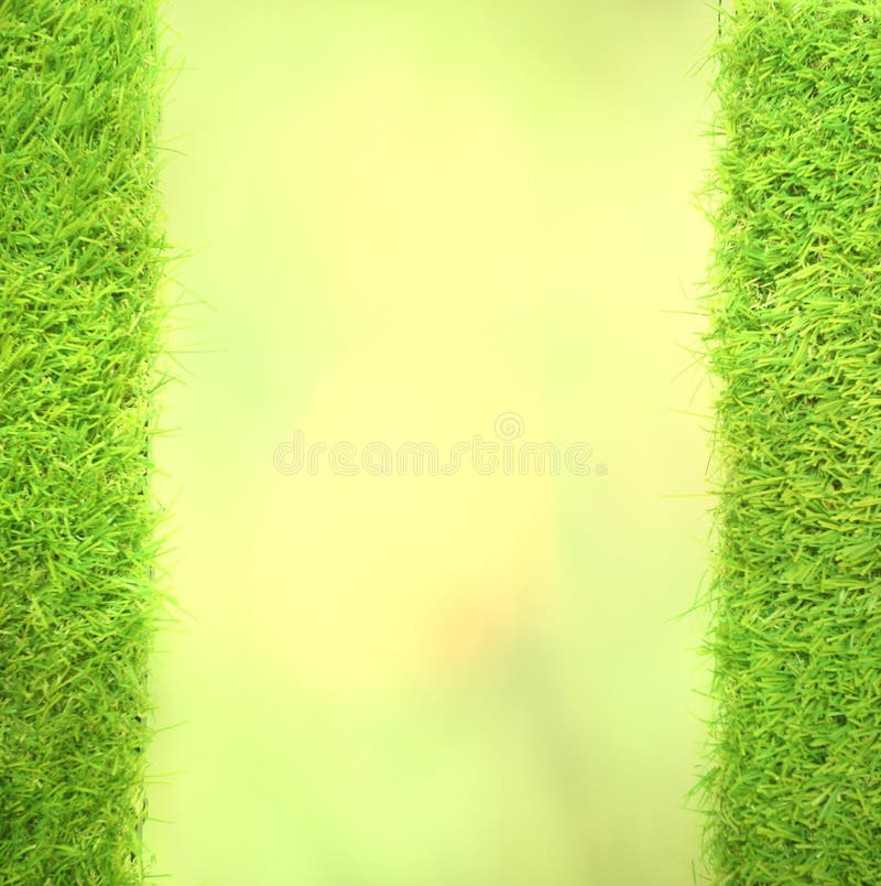Square of Green Grass Field Stock Photo - Image of ecology, light: 45189430